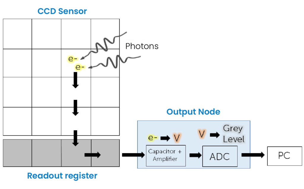 Camera Sensor Technologies - An Overview [2024]