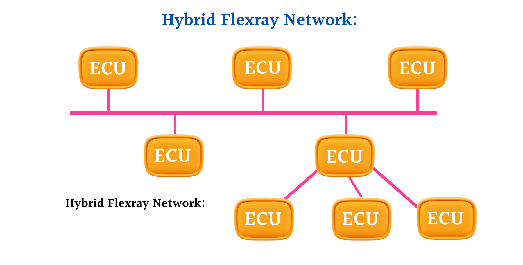 Exploring FlexRay Automotive Communication Bus Dynamics